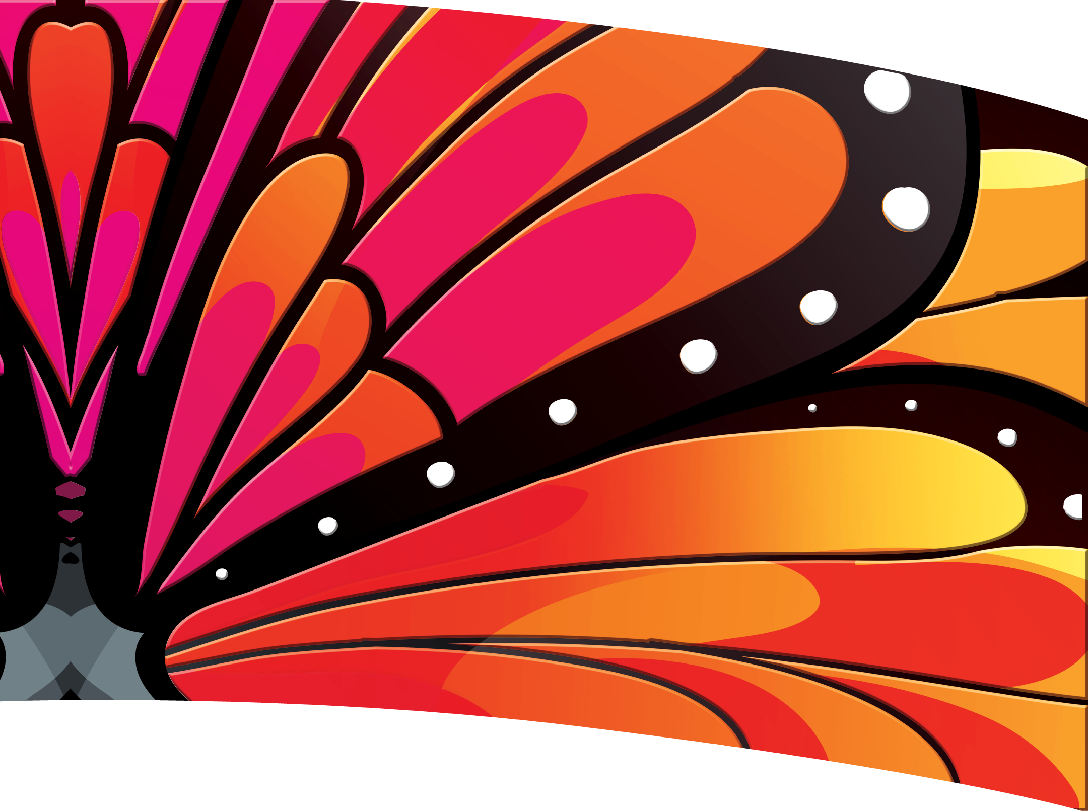 Pre-Designed Flags - Butterfly Wing – Hipp Visual Solutions